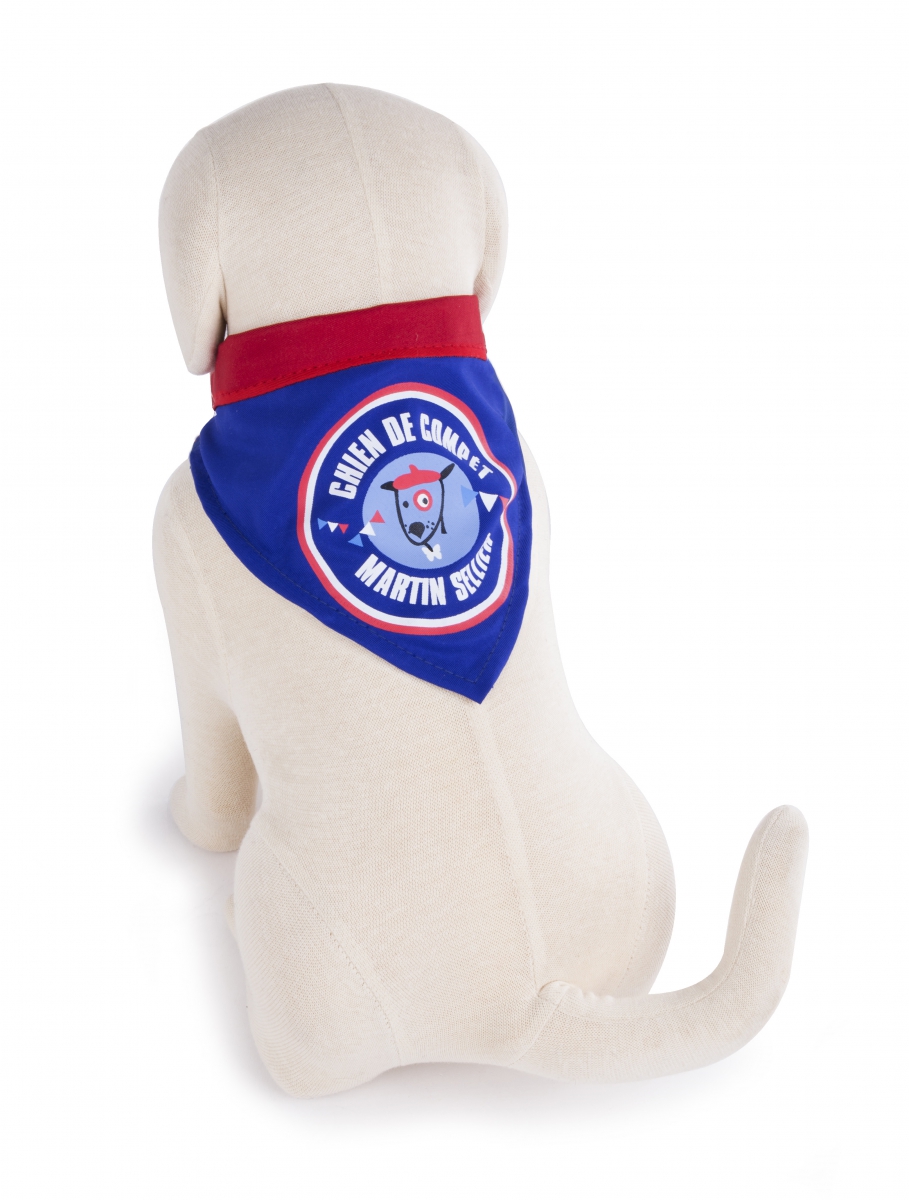 Bandana Drapeau - Collection Frenchy