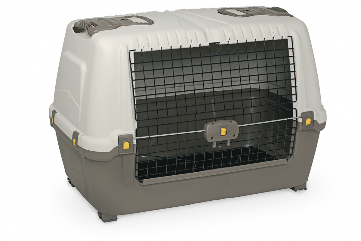 Transport cage - Skudo Car