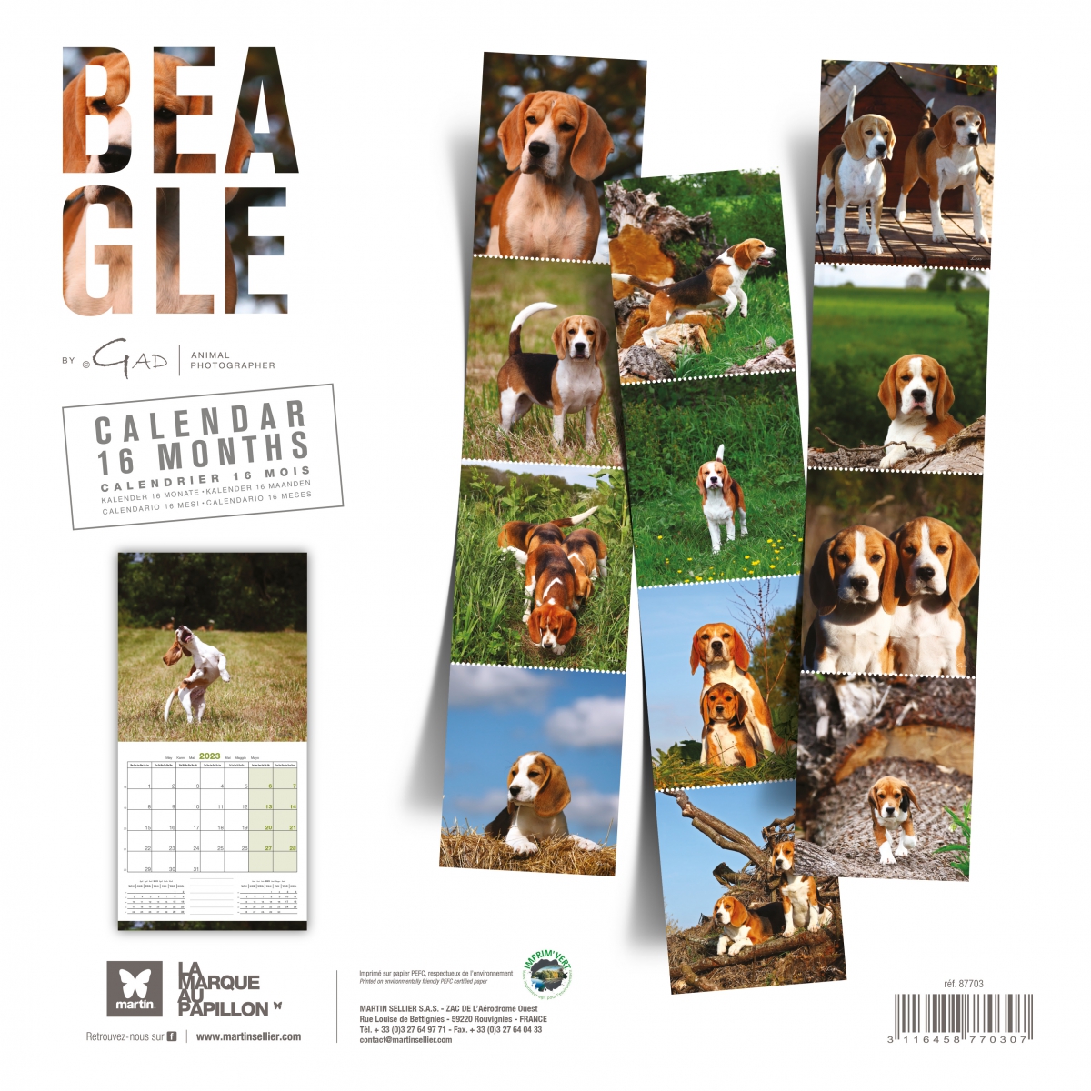 Beagle - 2024 dog calendar - Martin Sellier