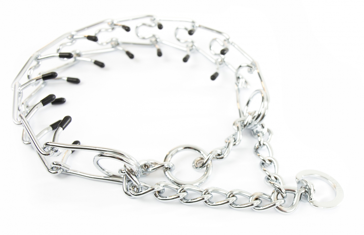 Collier Education Torquatus chromé