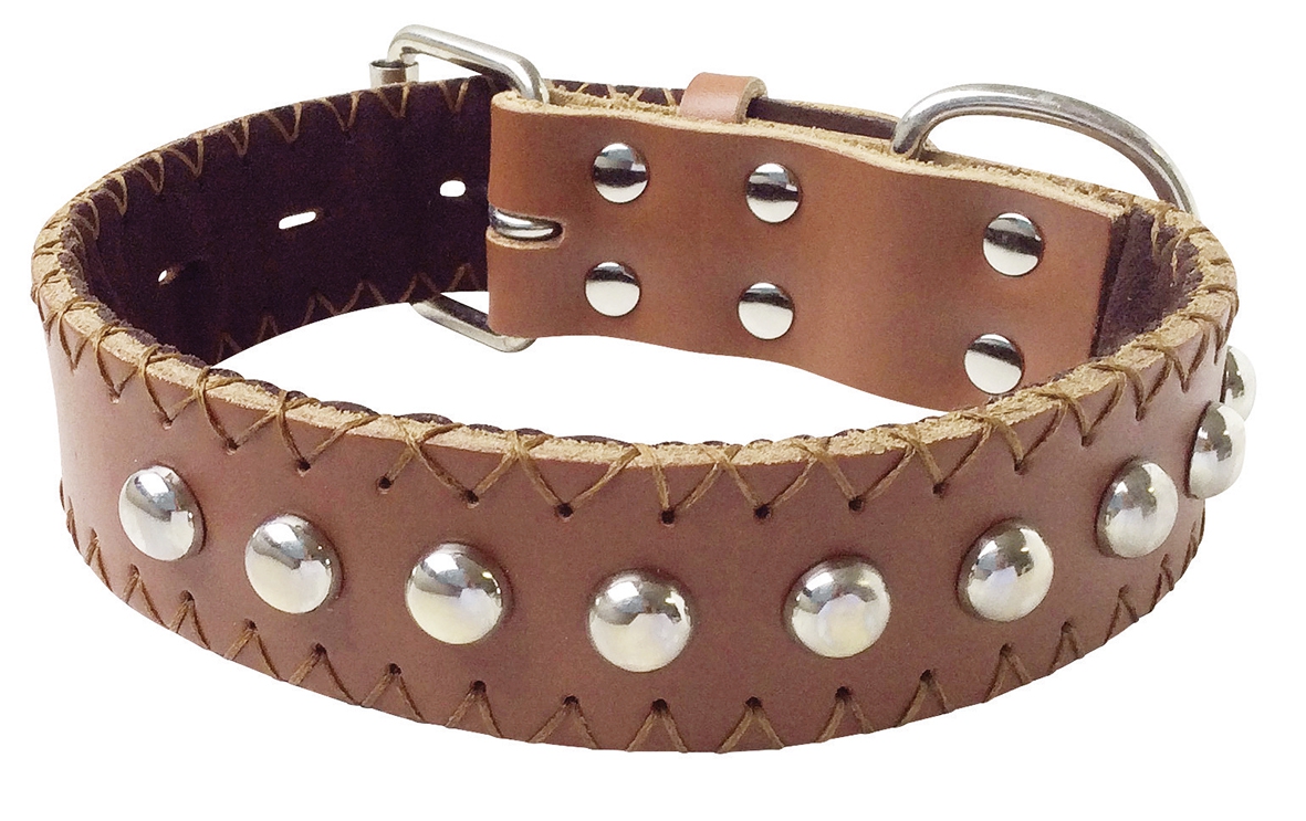 Collier en cuir marron pour chien
