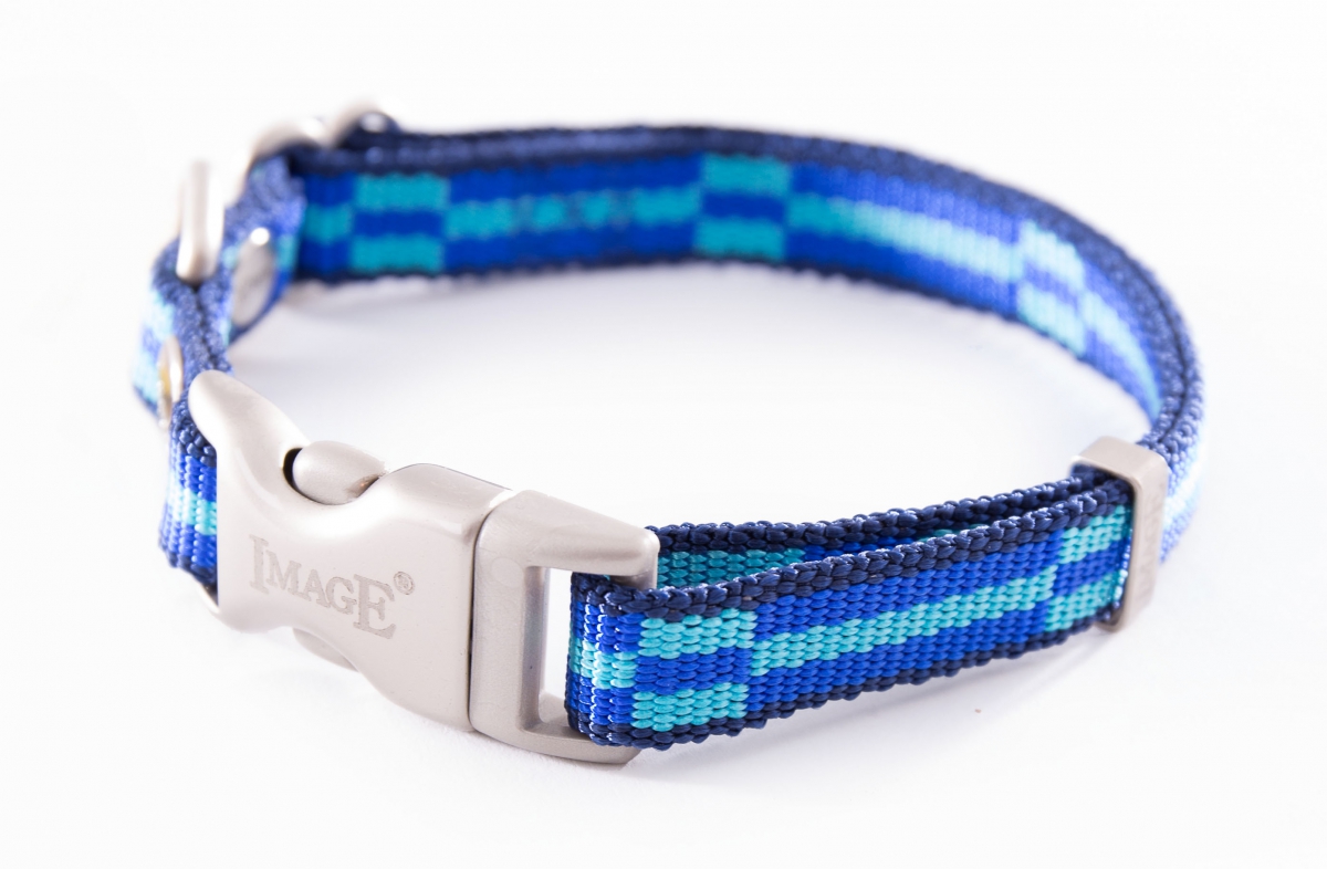 Collier pour chien - Dream bleu