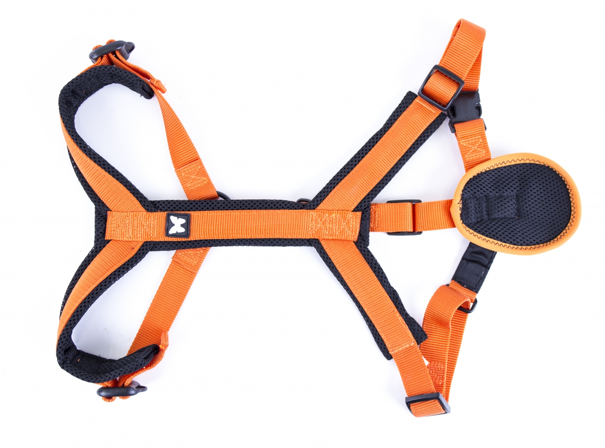 Harnais Canicross Basic - Orange