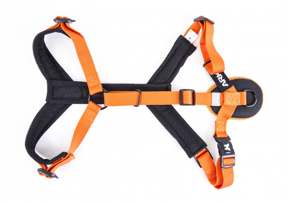 Harnais Canicross Basic - Orange
