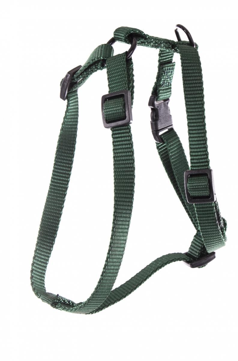 Harnais nylon vert réglable pour chien