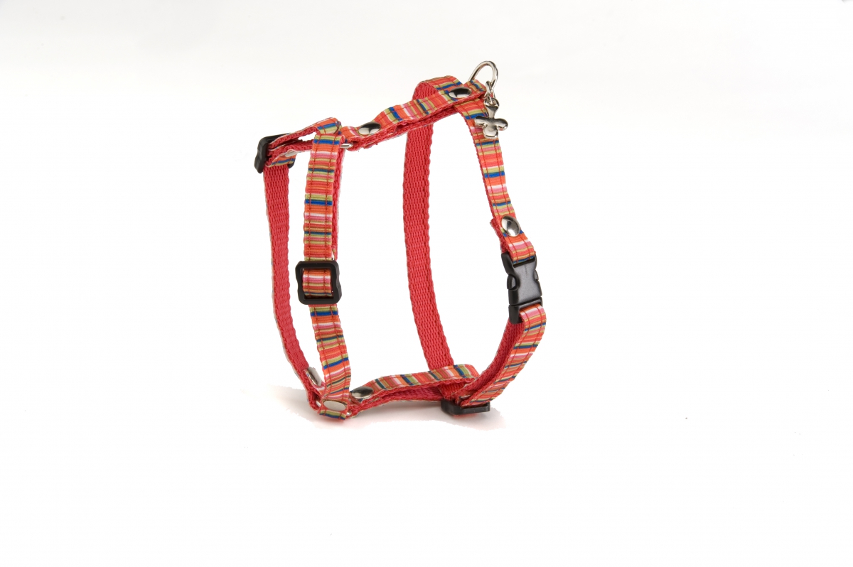 Harnais pour chien - Rainbow
