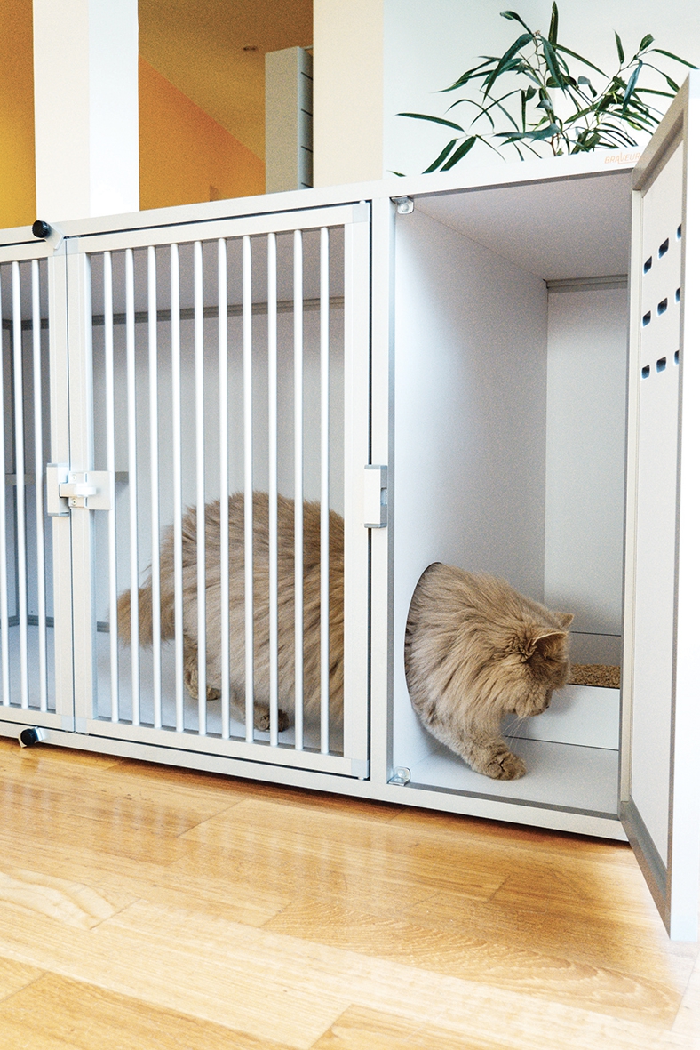 Module pension chat - 154 x p.70 x h.70 cm