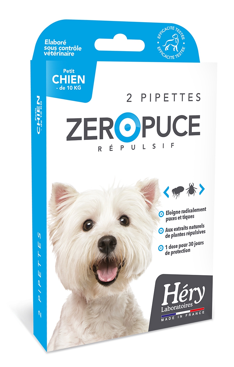Pipette petit chien