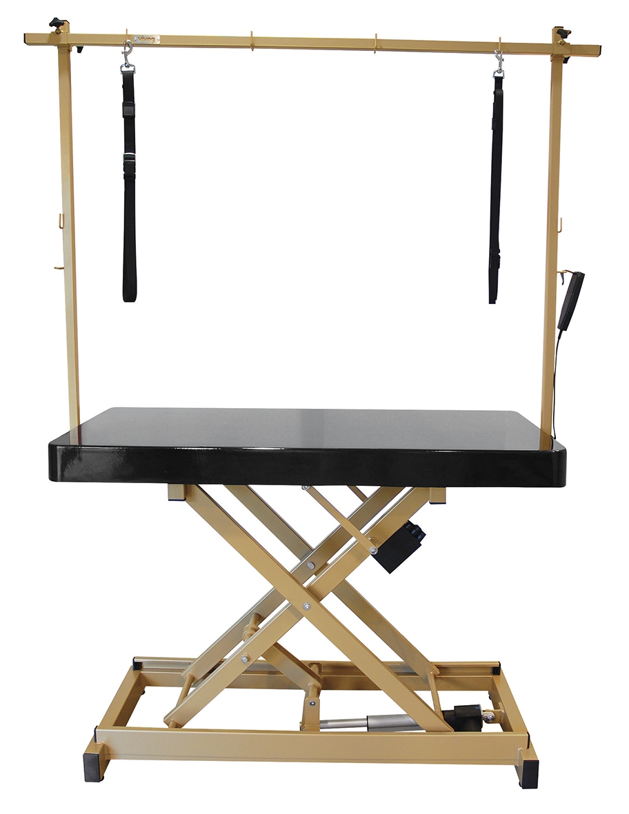 Table de toilettage Vivog I-design Ch?ssis Or mat poudr? - Intemporel ...