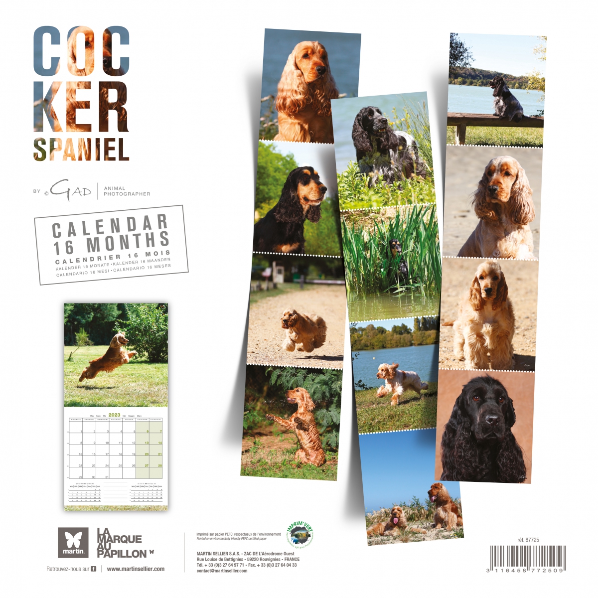 Cocker Spaniel - calendrier chien 2023 - Martin Sellier